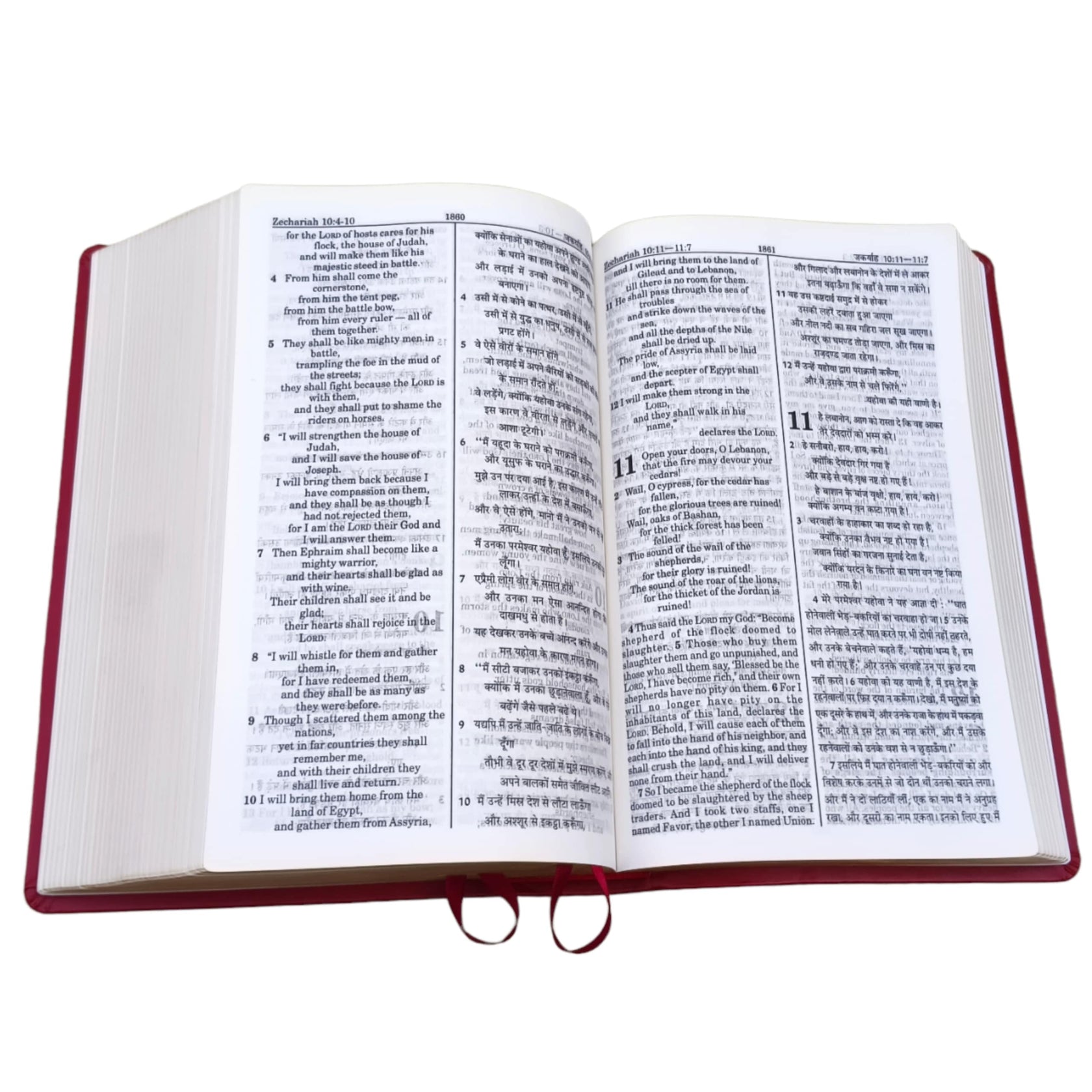 English Hindi Diglot Bible in Leather All In Color – THE CHRISTIAN GALLERY