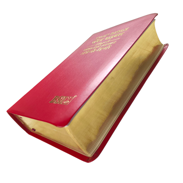 Diglot Bible | Compact Size | English Hindi Diglot Bible in Leather Bo ...