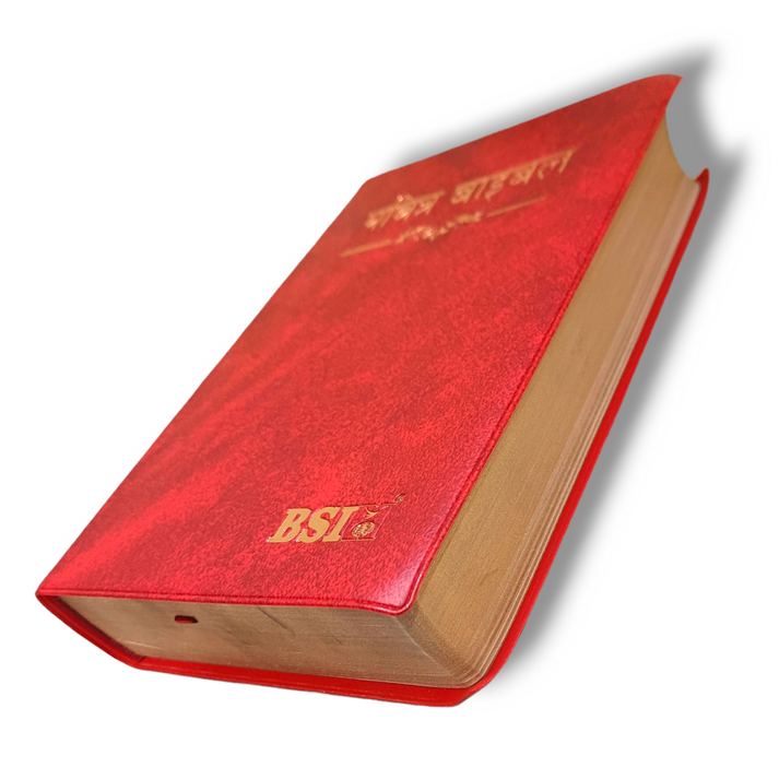 The Holy Bible In Hindi |Crown Maroon Color Bound |Golden Edge Bible ...