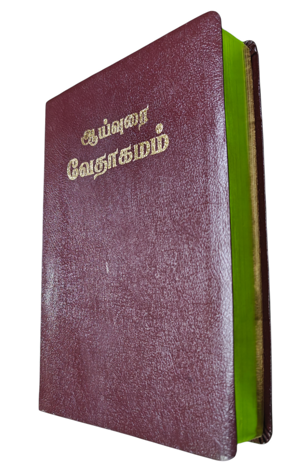 TAMIL STUDY BIBLE - Large Size/BSI (Hardcover, Tamil, Word of God - BS ...