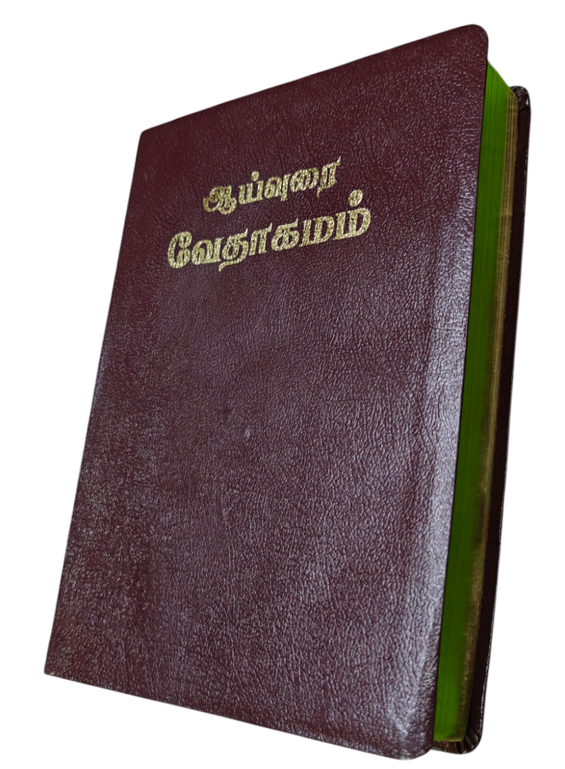 TAMIL STUDY BIBLE - Large Size/BSI (Hardcover, Tamil, Word of God - BS ...